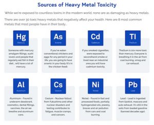 Exploring Heavy Metal Toxicity: Effects and Solutions